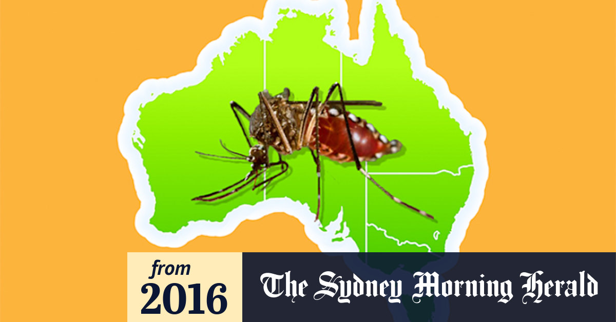 Video: Zika virus explained Video: Zika virus explained